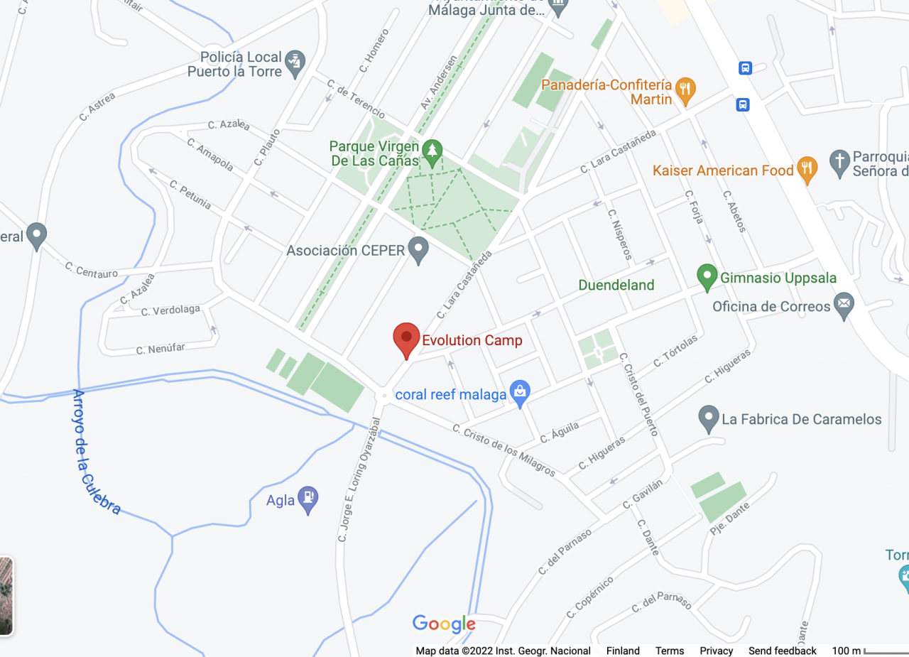 Home - Evolution Camp